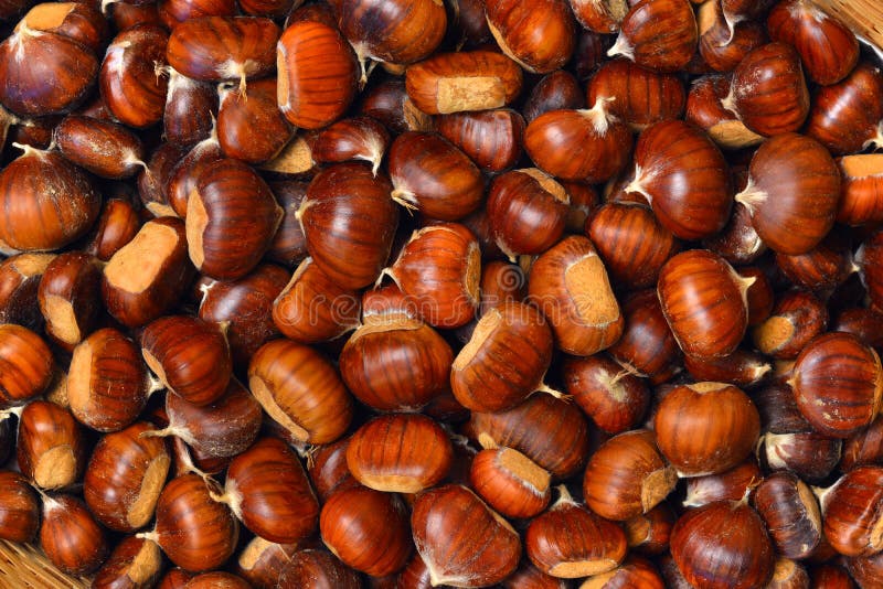 Texture of Chestnuts in Flat Lay Angle Stock Photo - Image of ...
