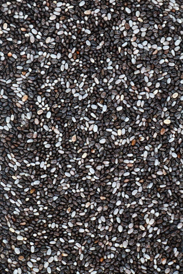 Chia seeds stock photo. Image of leaf, flower, vegan - 270038180