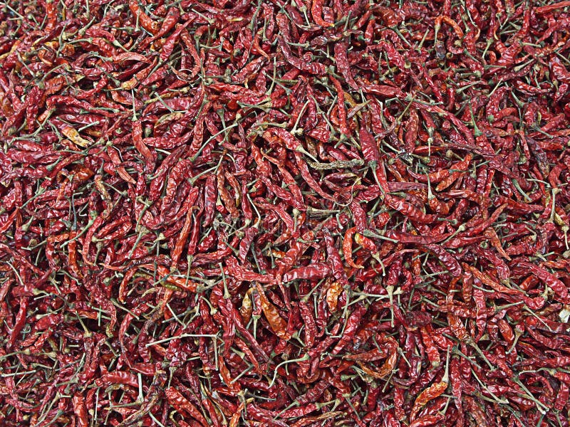 Texture of chilly stock image. Image of texture, herb - 5224387