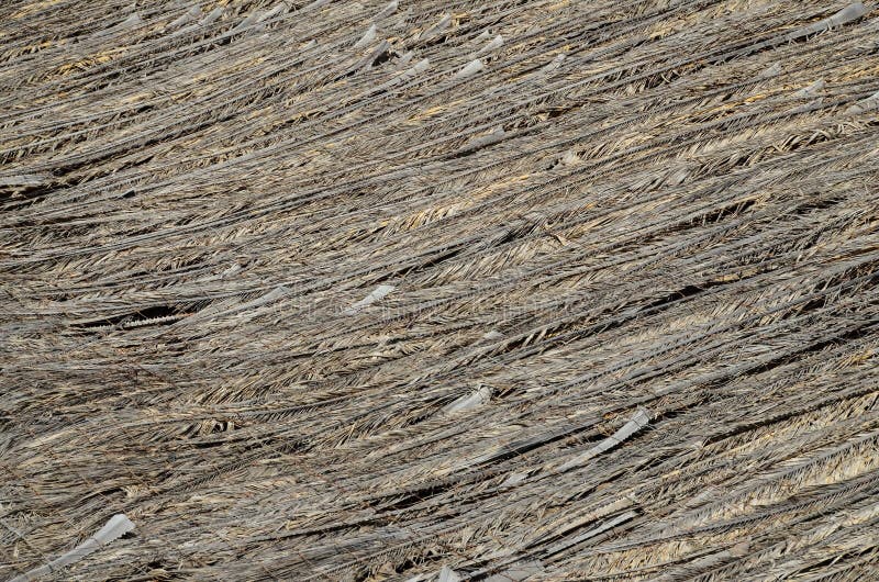 Texture of the Classic Thatch Roof Stock Photo - Image of pattern, leaf ...