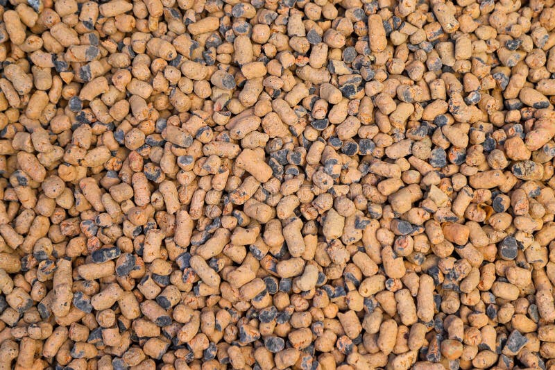 A Texture of a Red Haydite. an Expanded Clay is a Lightweight Porous ...