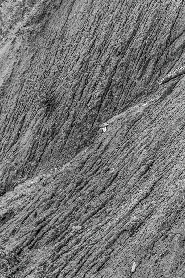 Clay Slope with Weathering and Soil Erosion Stock Image - Image of ...