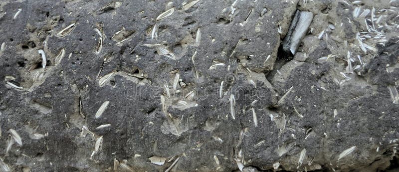 Texture of Adobe Home stock image. Image of home, texture - 113839675