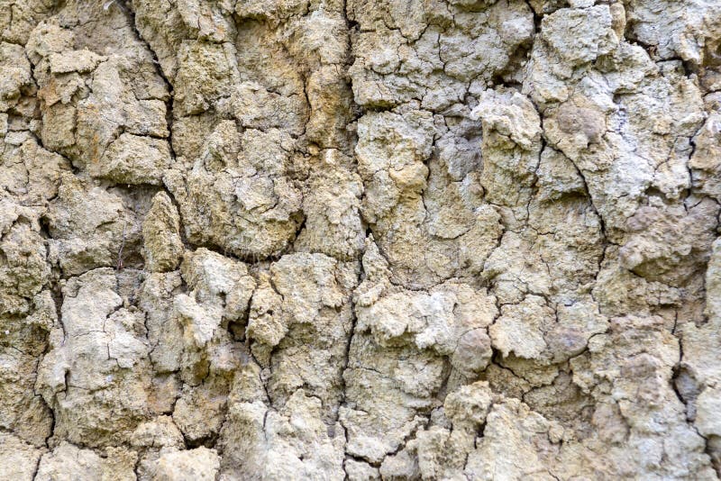 Texture of the Cliff Land of the Steep Sandy Coast Stock Image - Image ...