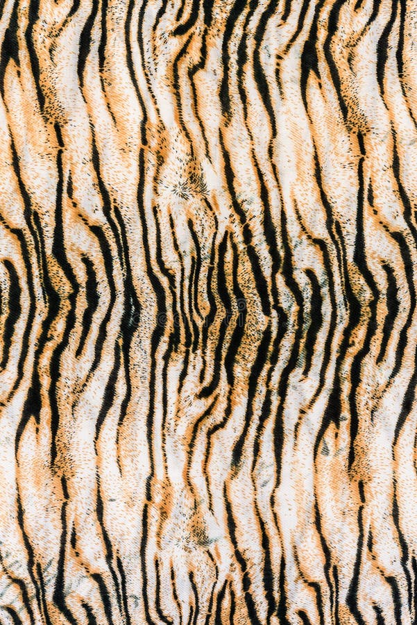 Striped Tiger shark stock image. Image of underwater - 21246607