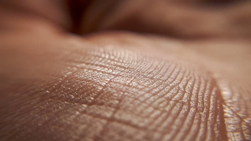 169,222 Closeup Human Skin Stock Photos - Free & Royalty-Free Stock ...