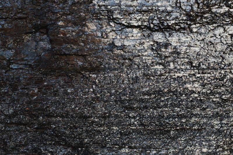 Texture of coal seam stock image. Image of backdrop - 343907017