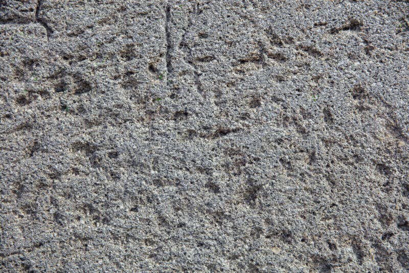 Texture of the Coarse Grey Granular Wall Stock Photo - Image of canvas ...