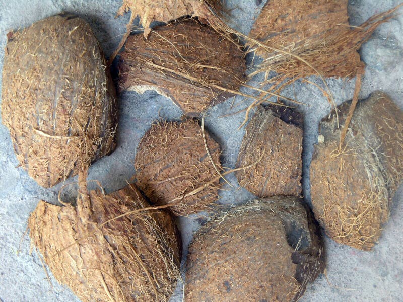 Coconut Breaking Rituals of Hindus Stock Image - Image of carving ...
