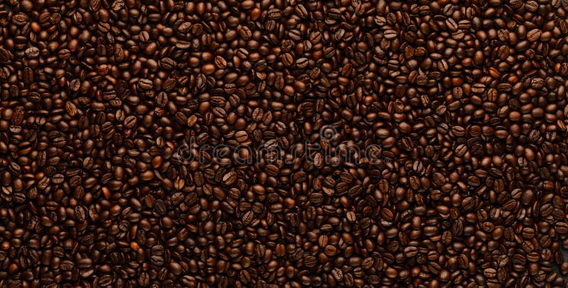 Texture of Coffee Beans Line Background Stock Photo - Image of textured ...