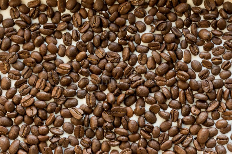 Texture of Coffee and Milk Whole Grains of Coffee in Milk Stock Image ...