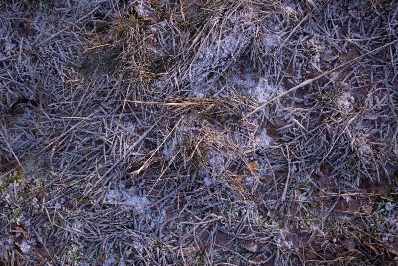 Texture of cold floor stock photo. Image of celsius - 137345110