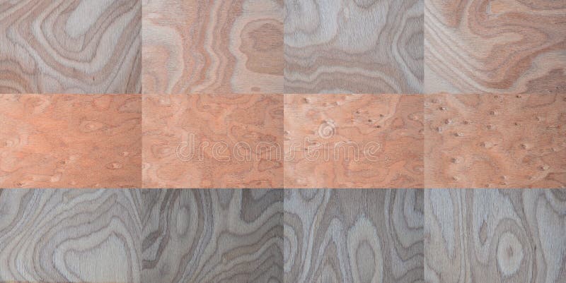 The Texture and Color of Many Wood Patterns Stock Image - Image of ...