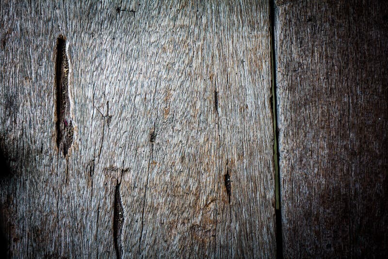 Texture and Color of Old Log Stock Photo - Image of door, peel: 46043638