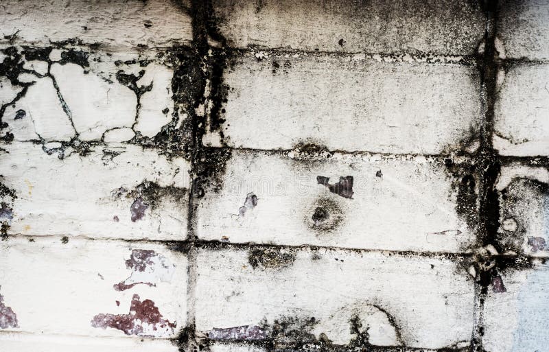 193 Gore Texture Stock Photos - Free & Royalty-Free Stock Photos from ...