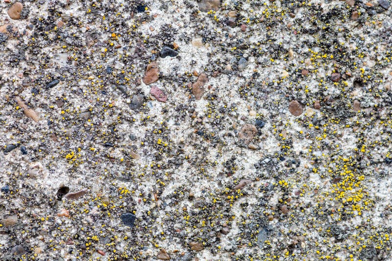 Texture - Concrete Wall with Yellow Mold Stock Photo - Image of macro ...