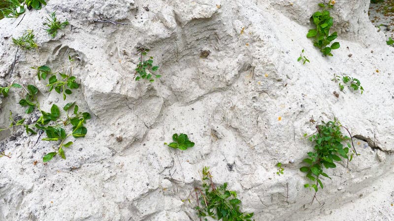 Texture of Construction Bulk Material Stock Photo - Image of ...