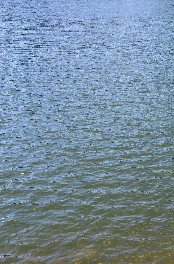 Texture of Contaminated River Water. the Consequences of Pollution ...