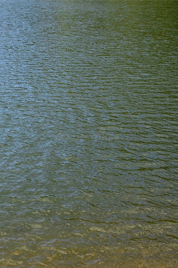 Texture of Contaminated River Water. the Consequences of Pollution ...