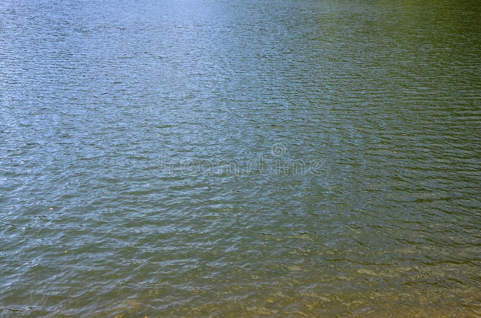 Texture of Contaminated River Water. the Consequences of Pollution ...