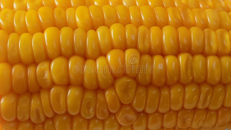 The Texture of Cooked and Boiled Corn Kernels. Dish and Food Concept ...