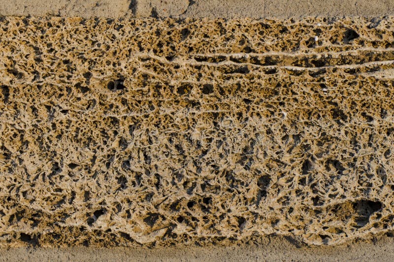 The Texture of the Coquina. Spongy Surface Structure of the Stone Rock ...