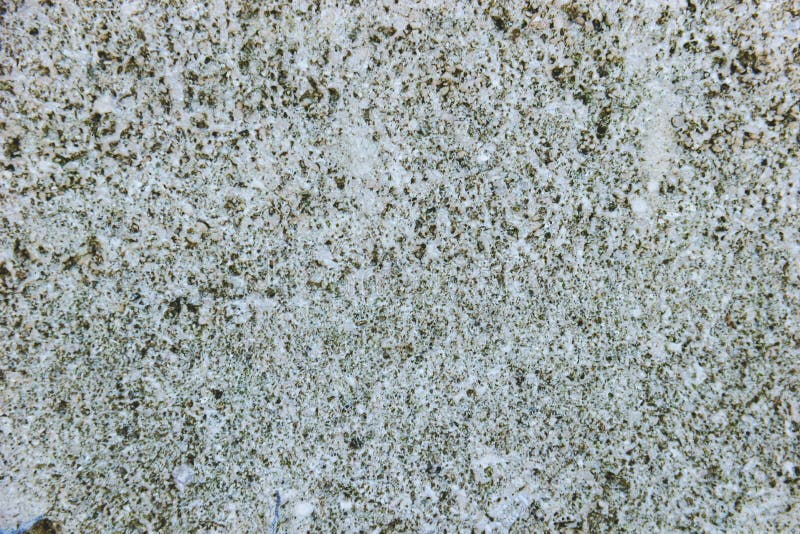 Texture from Old Coquina Brown Wall Stock Image - Image of crumble ...