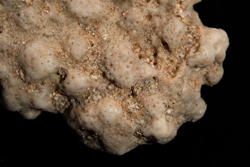 447 Spongy Rock Texture Stock Photos - Free & Royalty-Free Stock Photos ...