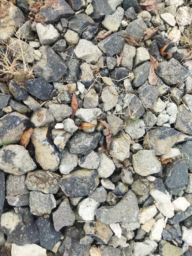 Texture coral stone stock image. Image of boulder, brickwork - 240933785