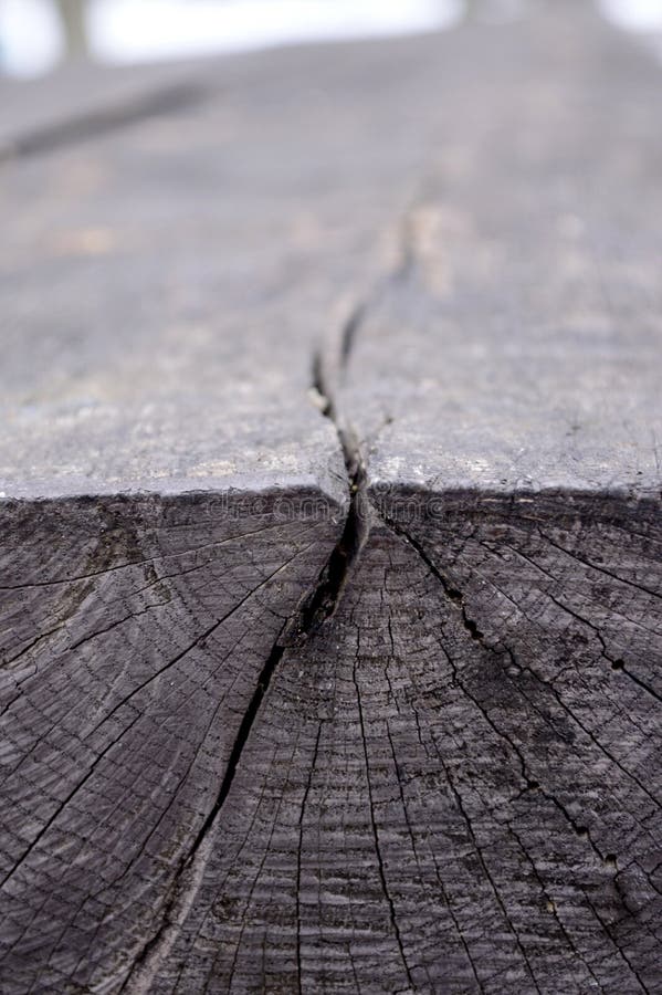 Texture Core of a Tree Trunk Stock Image - Image of abstract, logging ...