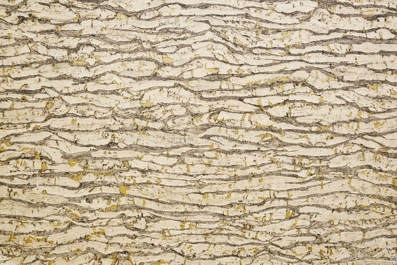 The Texture of the Cork. Background and Surface Texture of Cork Wood ...