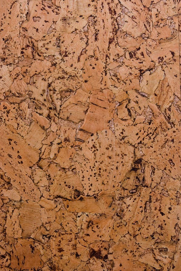 Cork board texture stock photo. Image of remember, flat - 11061376