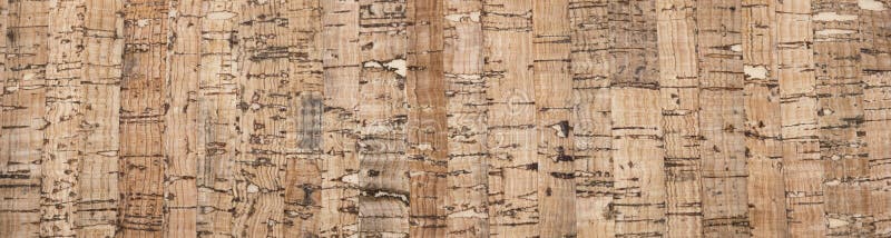 Texture of Cork Board Wood Surface, Natural Wooden Decorative Panel ...