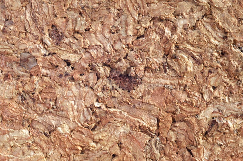 Texture of the Cork Surface. Closeup Stock Photo - Image of closeup ...
