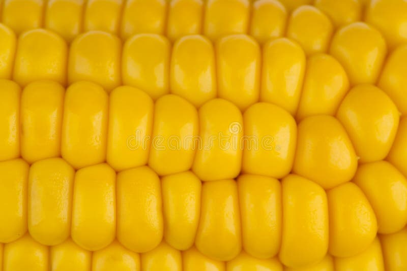 The Texture of Corn Grains on a Patch of Closeup Stock Photo - Image of ...