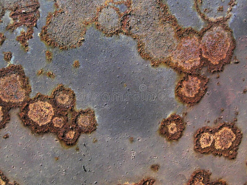 Texture: Corrosion stock photo. Image of rusted, steel, gray - 73948