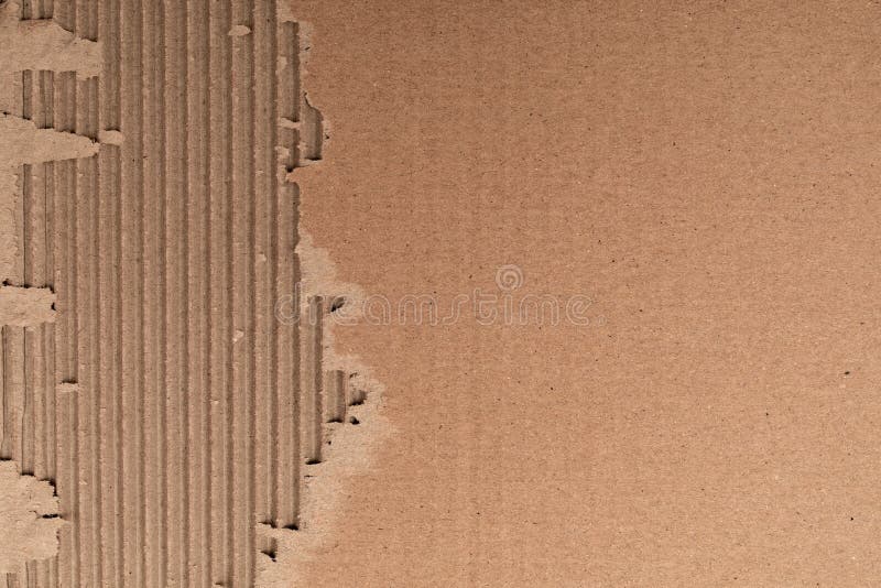 Texture of Corrugated Cardboard with Torn Edges. Texture Cardboard ...