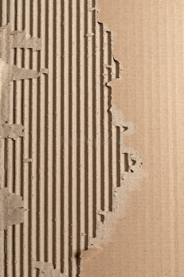 Texture of Corrugated Cardboard with Torn Edges. Texture Cardboard ...