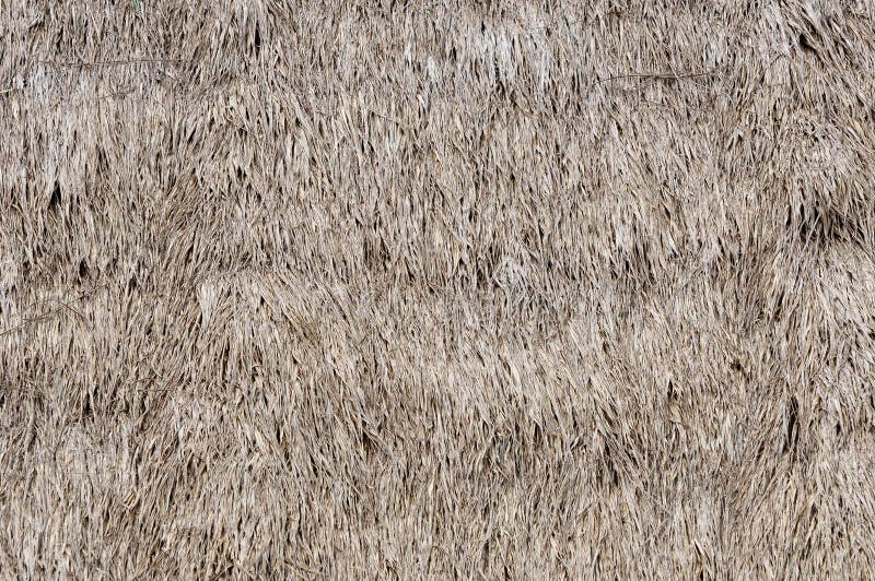 Texture couverte de chaume photo stock. Image du beau - 16518234
