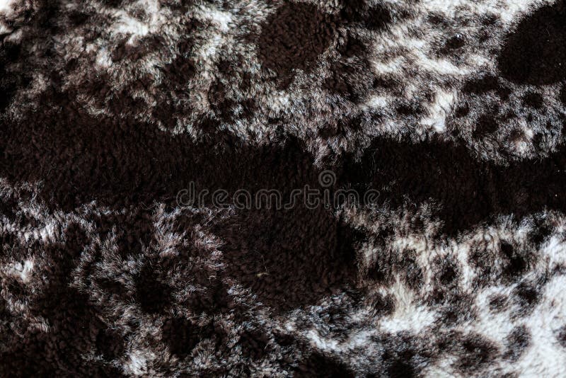 Texture of a Cow Fur - Image Stock Photo - Image of print, hair: 169258980