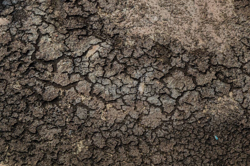 Texture of Crack Dry of Soil Editorial Stock Image - Image of broken ...