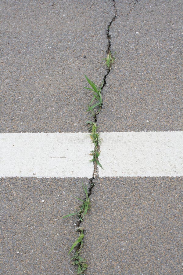 Texture of Crack Line on Black Road Stock Image - Image of construction ...
