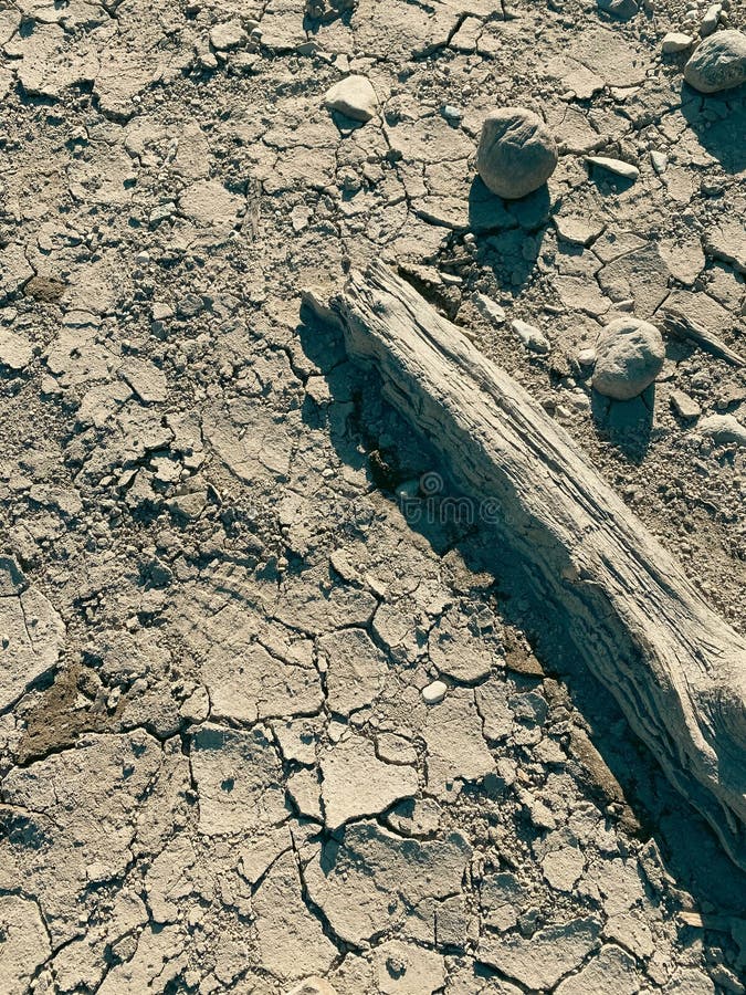 Texture of Cracked Bottom of the River. Background Cracked Earth the ...