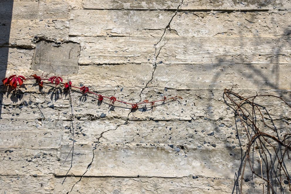 Cracked Concrete Wall with Twigs Stock Image - Image of branch, wall ...