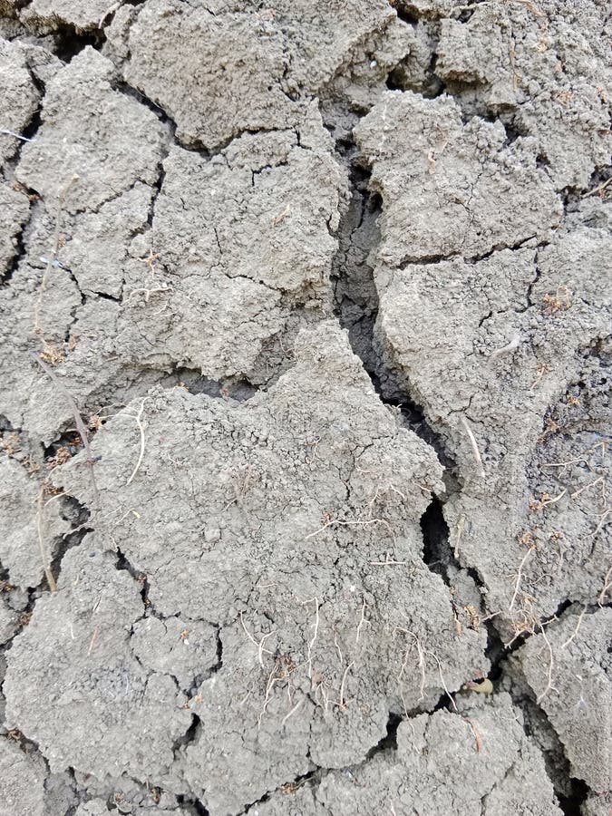 Texture of Cracked Dried Soil Stock Photo - Image of environmental ...