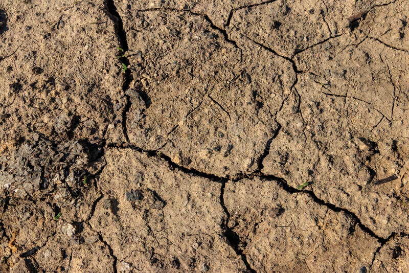 Texture of Cracked Dry Ground for Background Stock Photo - Image of ...