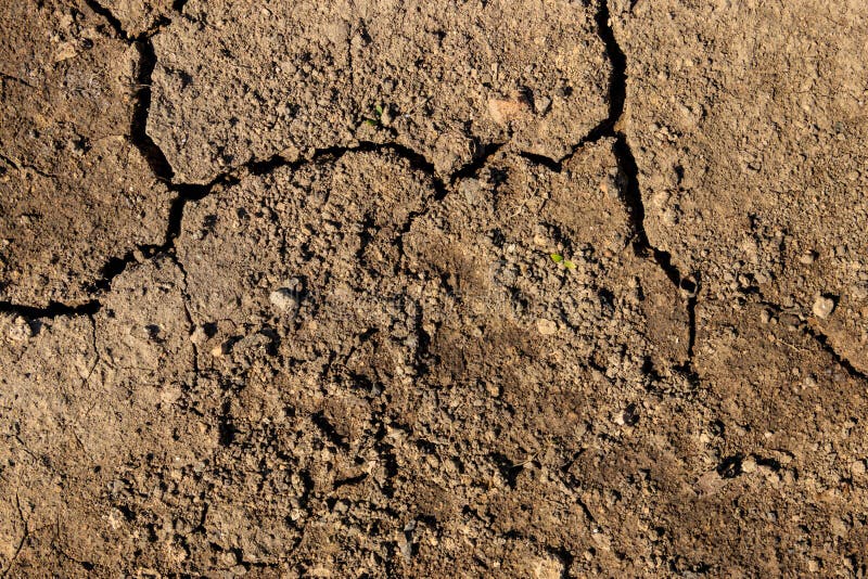 Texture of Cracked Dry Ground for Background Stock Photo - Image of ...