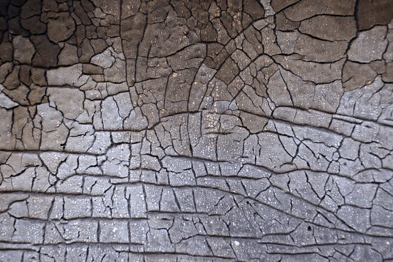 Flaky Material Stock Illustrations – 52 Flaky Material Stock ...