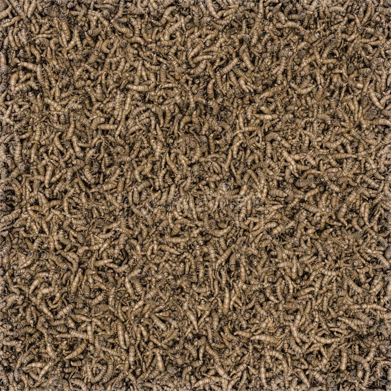 Texture with Cricket Larvae Stock Illustration - Illustration of ...