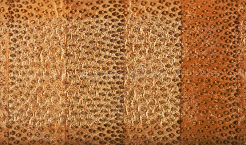 Texture Of The Cross Section Of Bamboo Fiber Board Royalty Free Stock ...